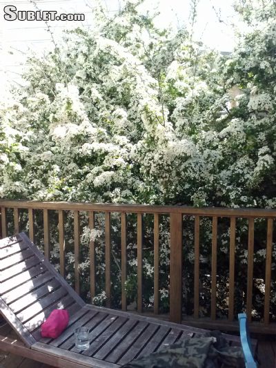 San Francisco Sublets: Furnished Apartments and Rooms for Rent in San ...